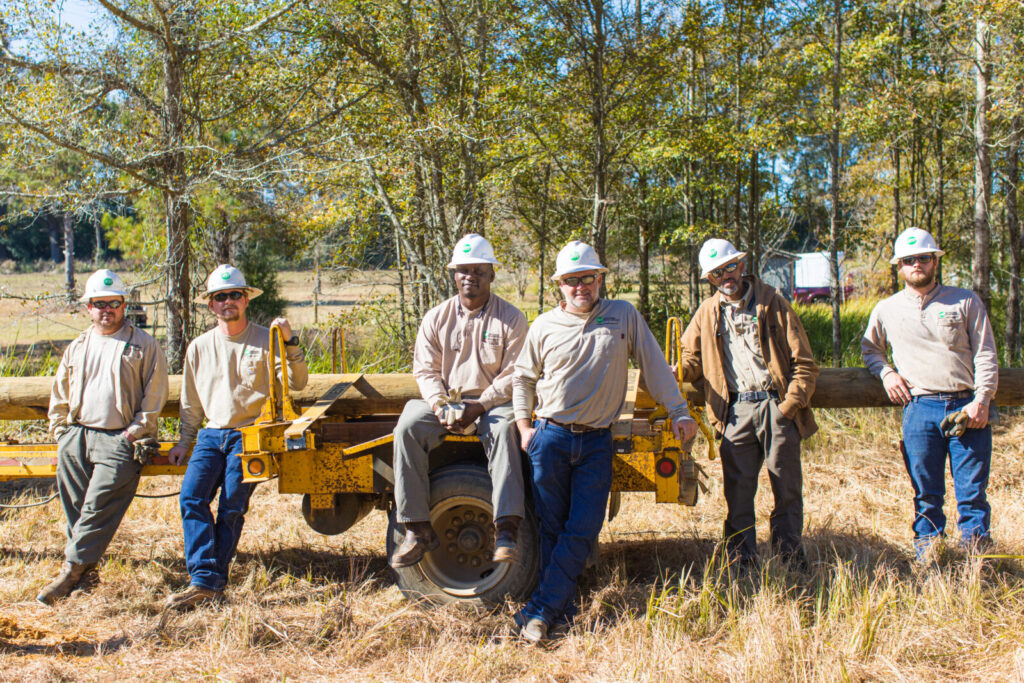 Hiccup after hiccup – South Alabama Electric